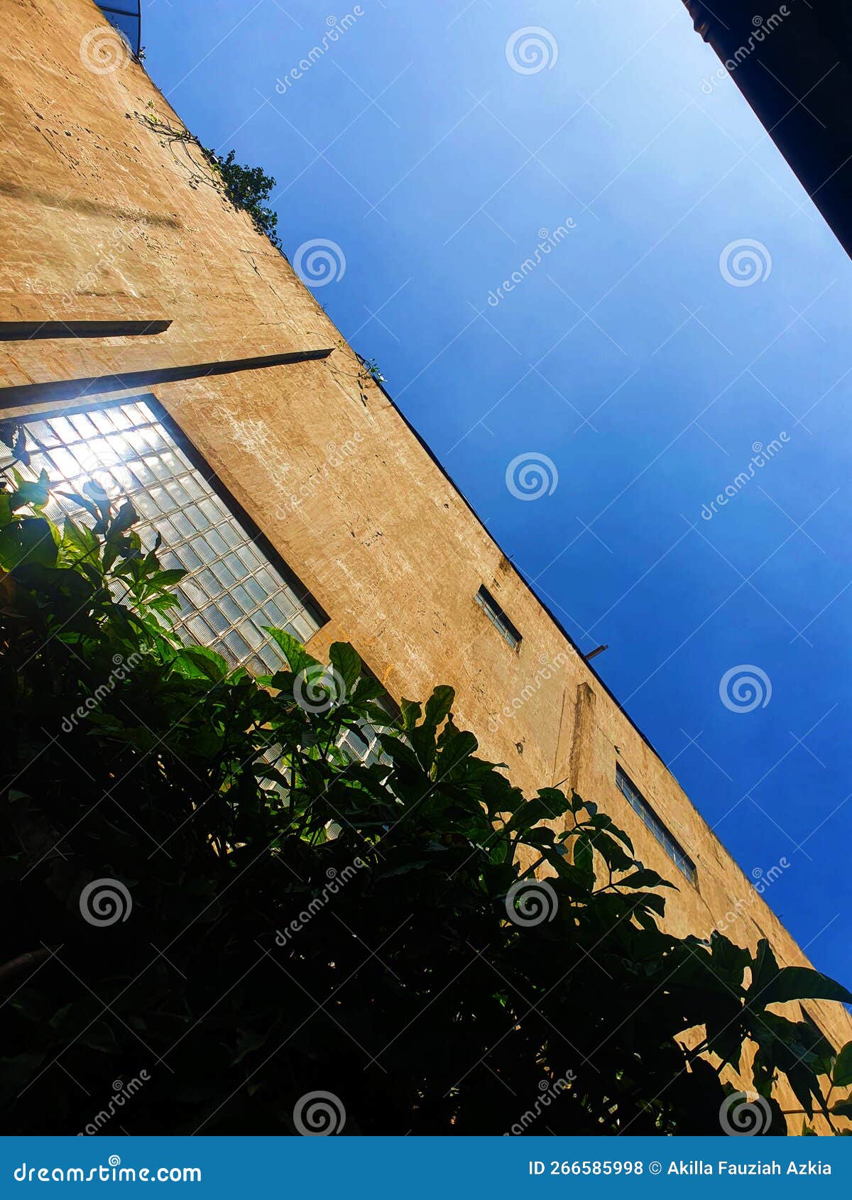 Building with Tree Green Wallpaper Backdrop Stock Photo - Image of ...