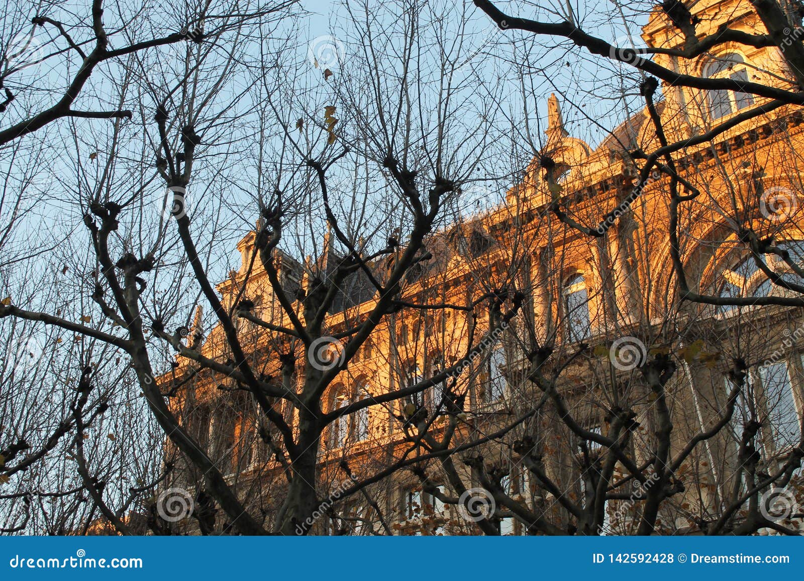 Building trough Trees stock photo. Image of nature, fall - 142592428