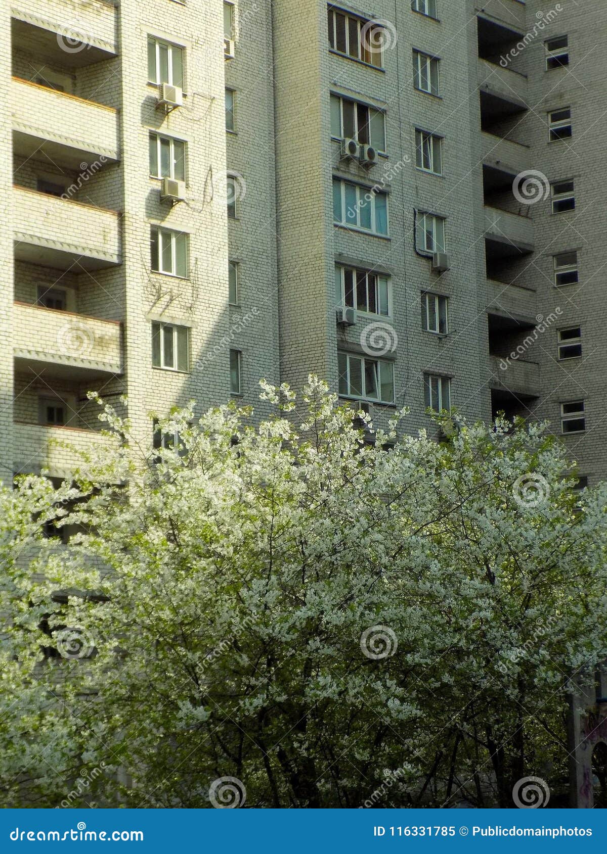 Building, Urban Area, Residential Area, Tree Picture. Image: 116331785