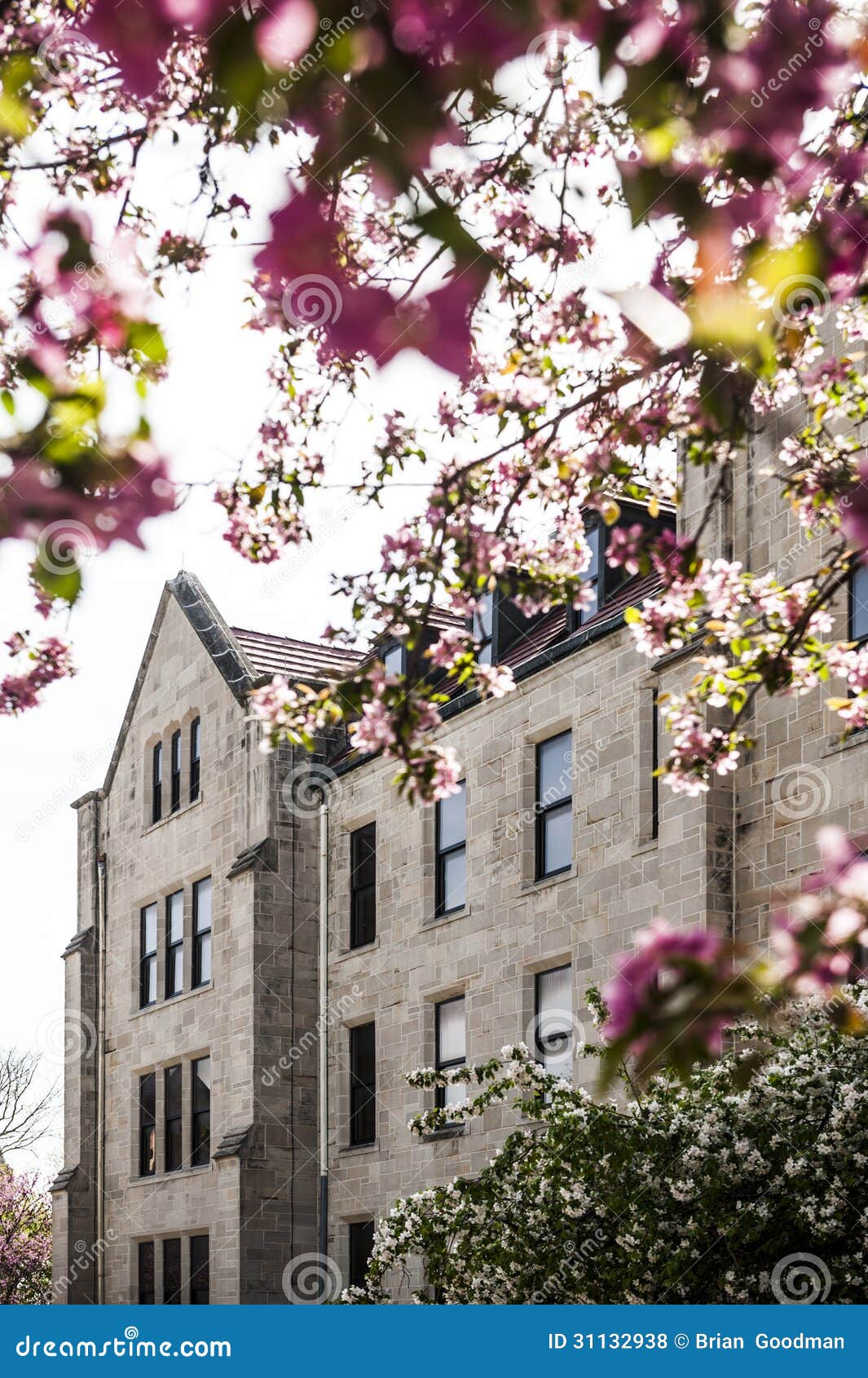 Building stock photo. Image of architecture, spring, buildings - 31132938
