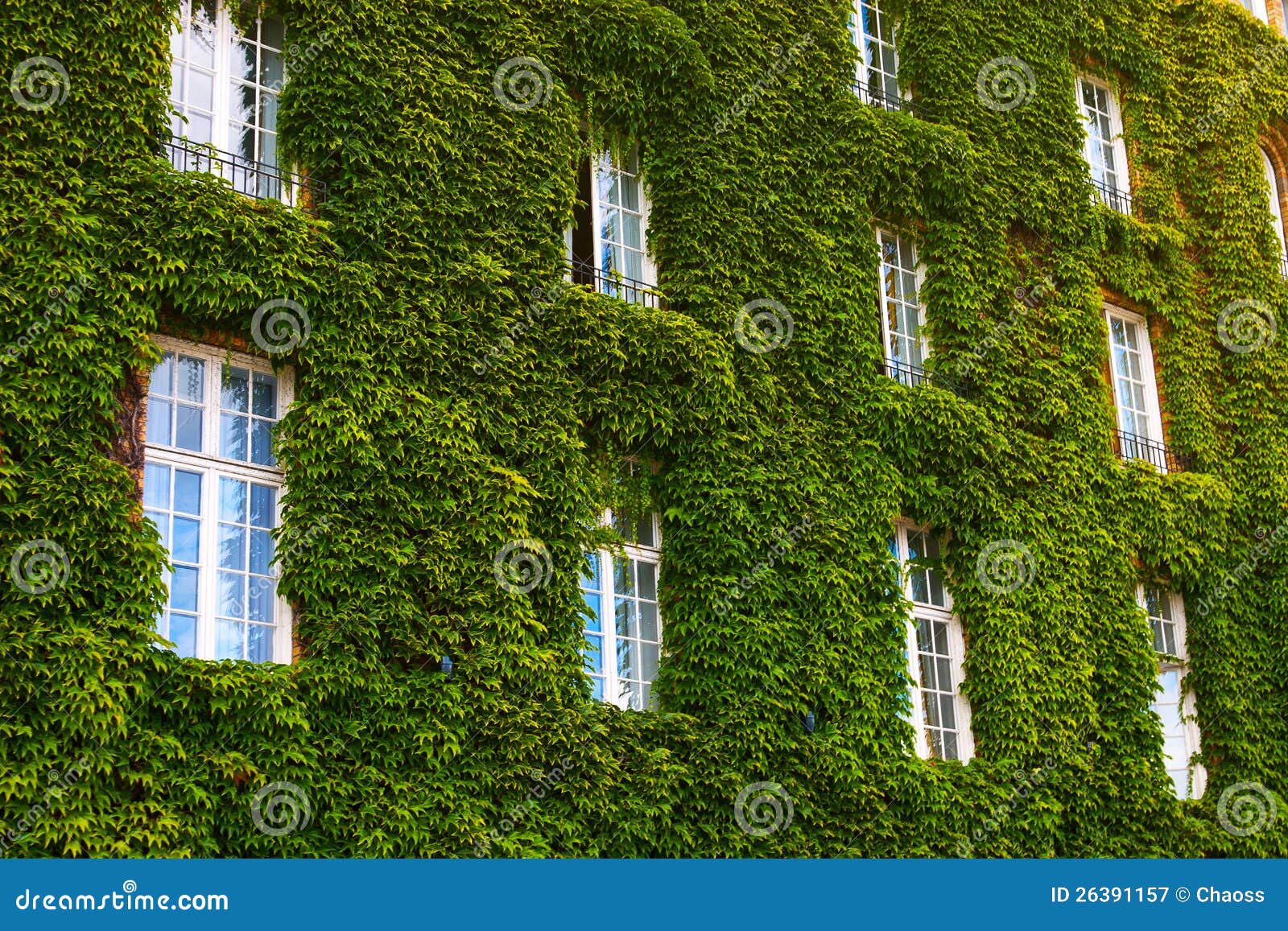 Building with vineyard stock image. Image of europe, summer - 26391157