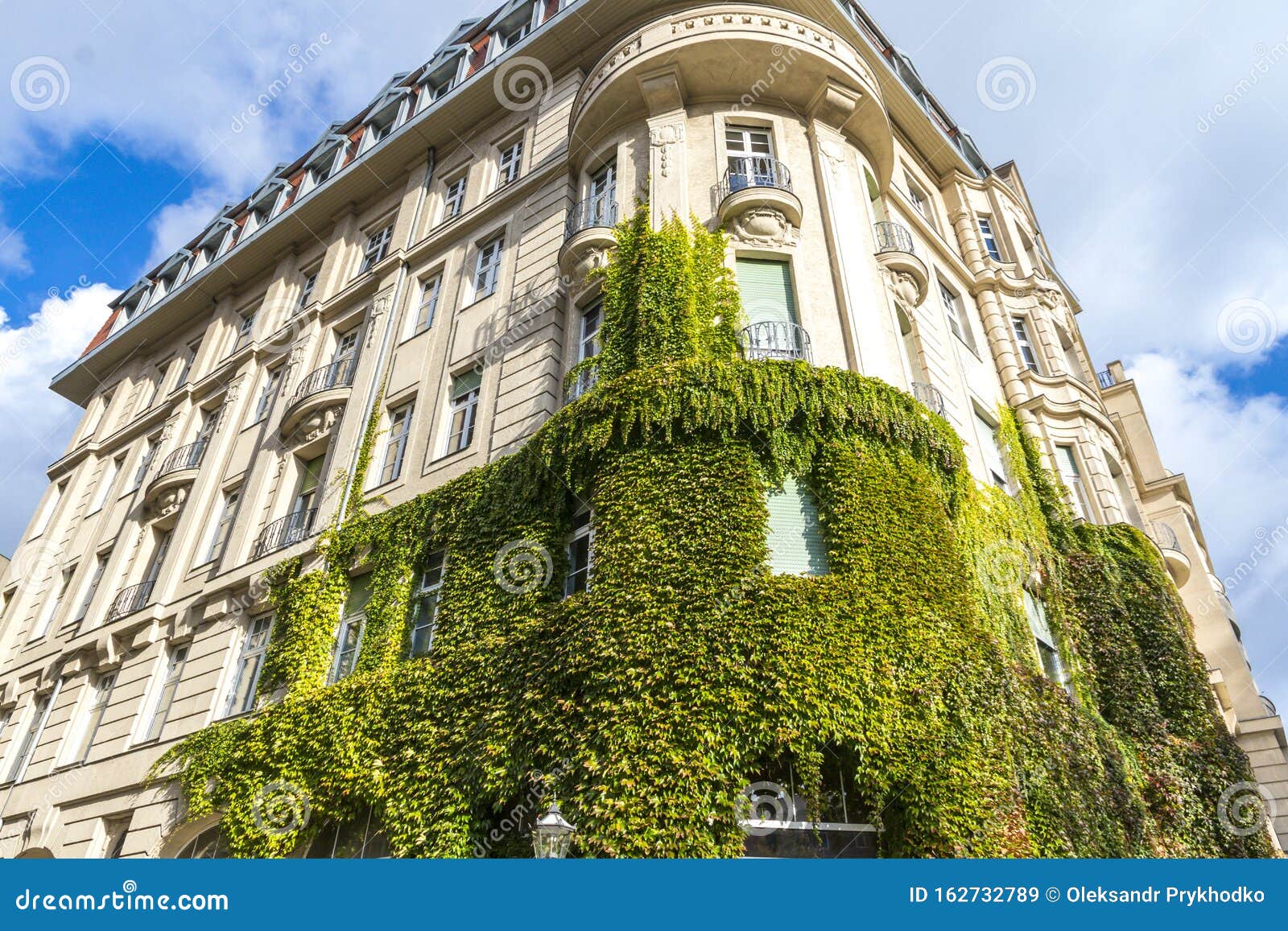 Building Covered with Green Ivy Plants Stock Image - Image of fall ...