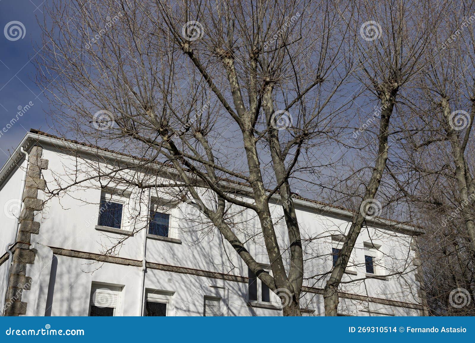 Building. White Colored Building Next To Some Bare and Leafless Trees ...
