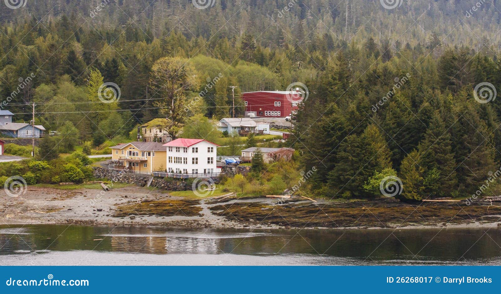 Buildings in Evergreens on Alaskan Waterway Stock Image - Image of pine ...