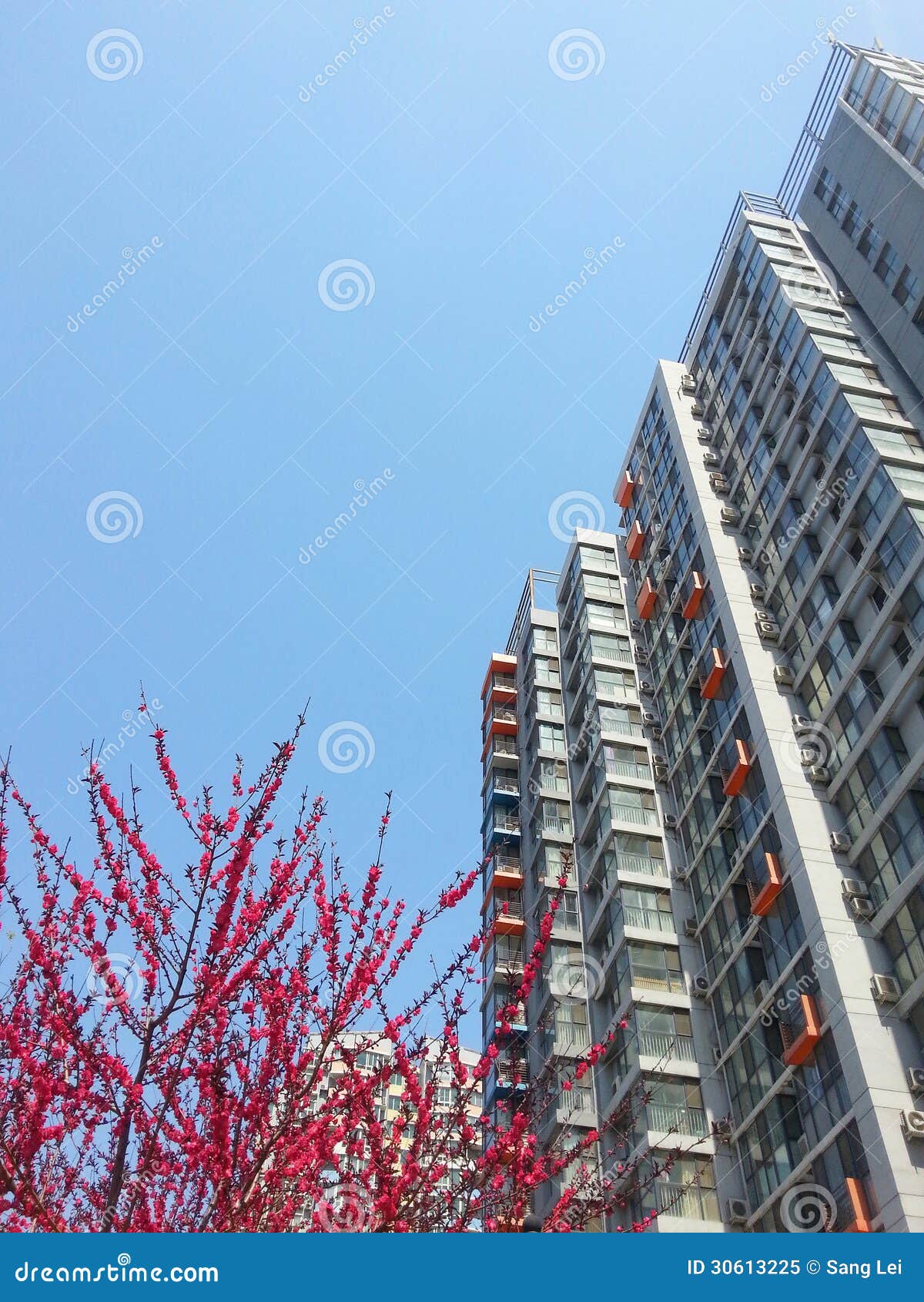 Buildings and flowers stock image. Image of flower, flowers - 30613225