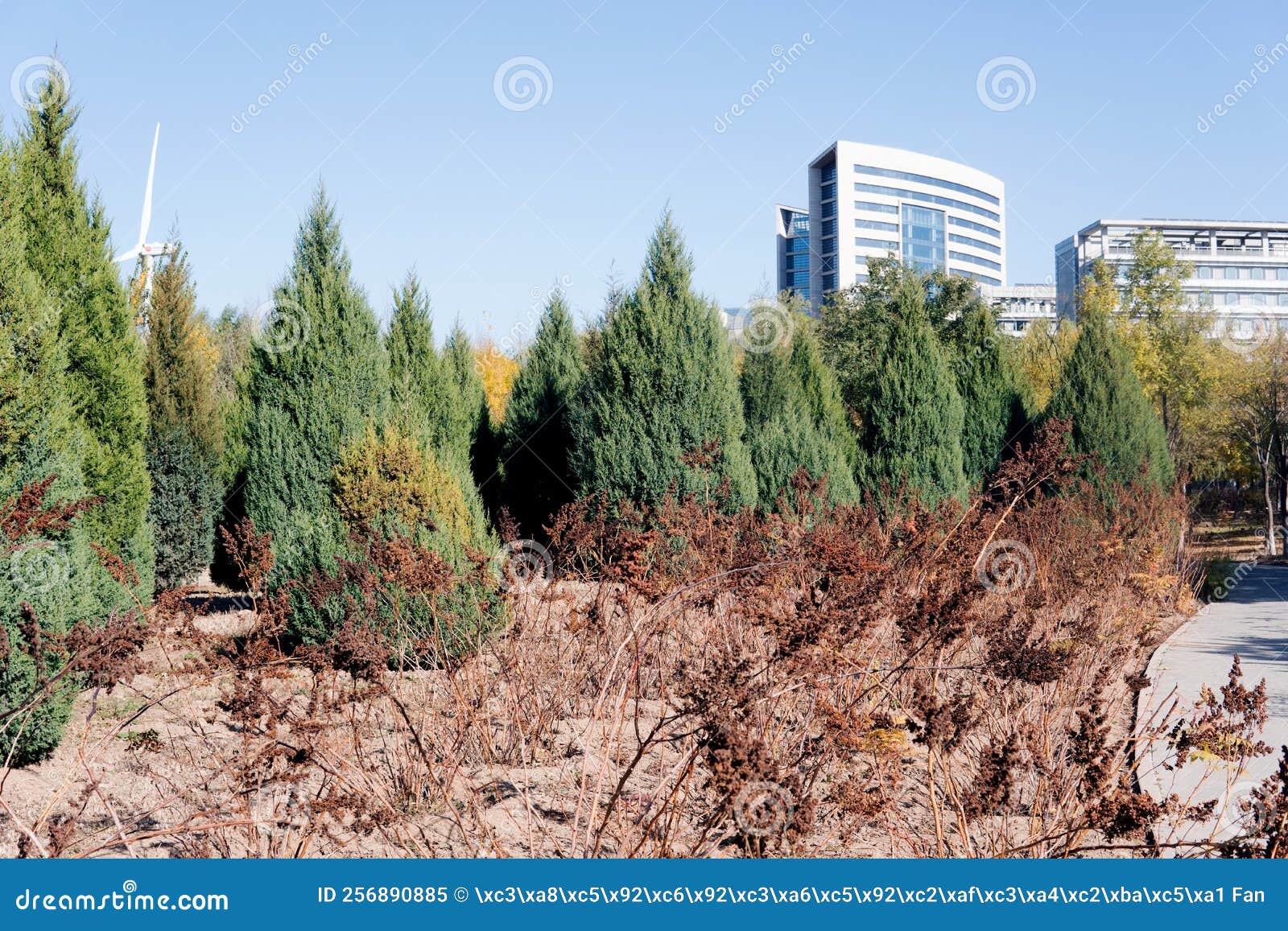 Buildings of the Future Science City in Changping, Beijing Stock Image ...