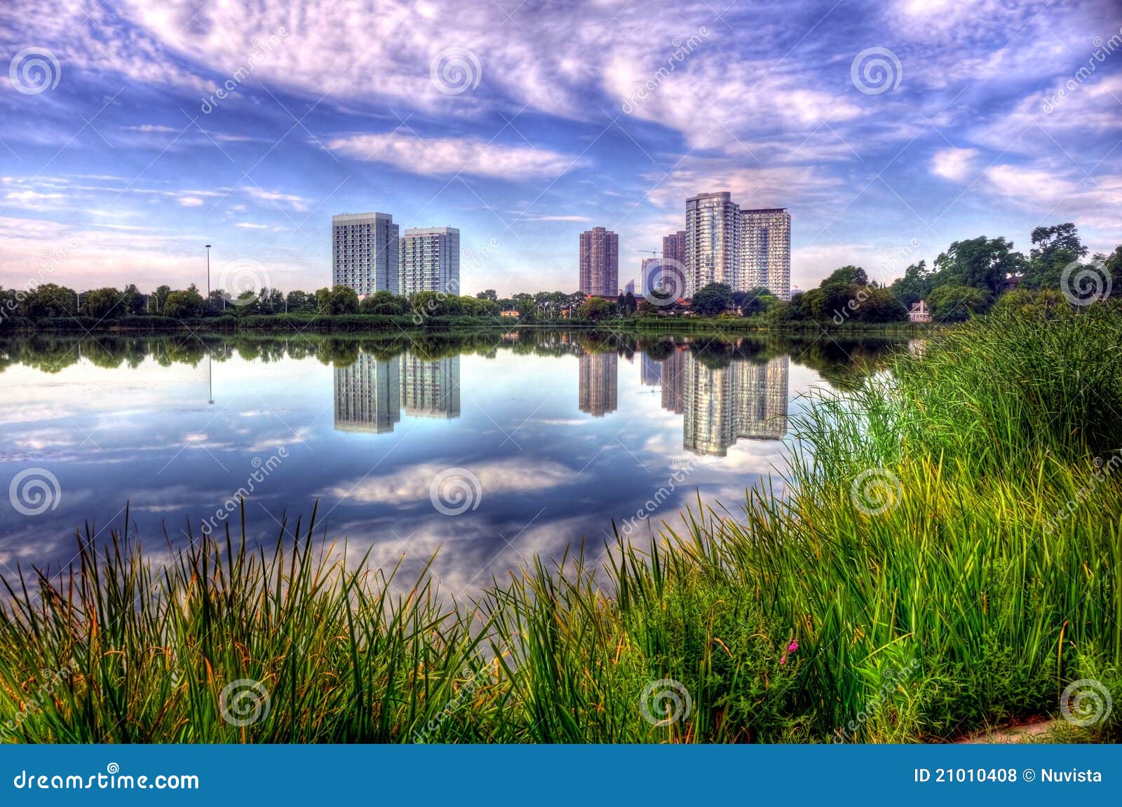 Buildings by the lake stock photo. Image of bush, toronto - 21010408