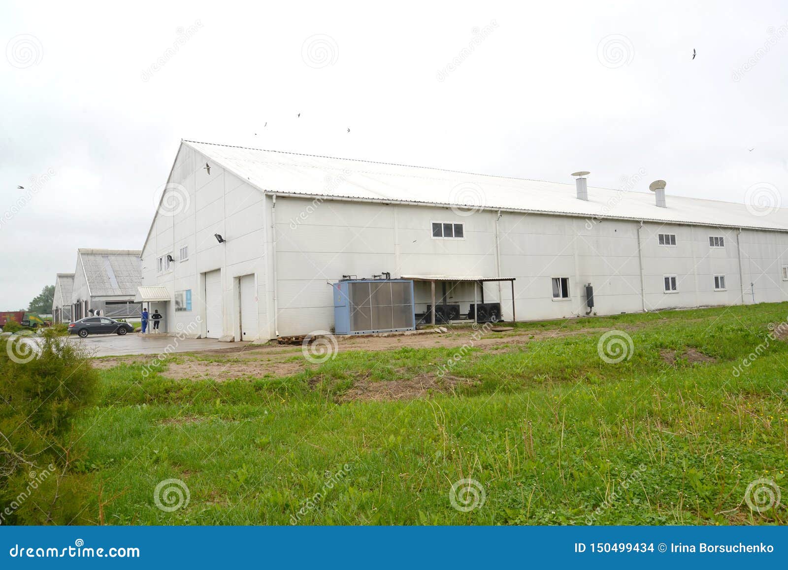 Buildings of a Livestock Complex. Dairy Farm Editorial Stock Image ...