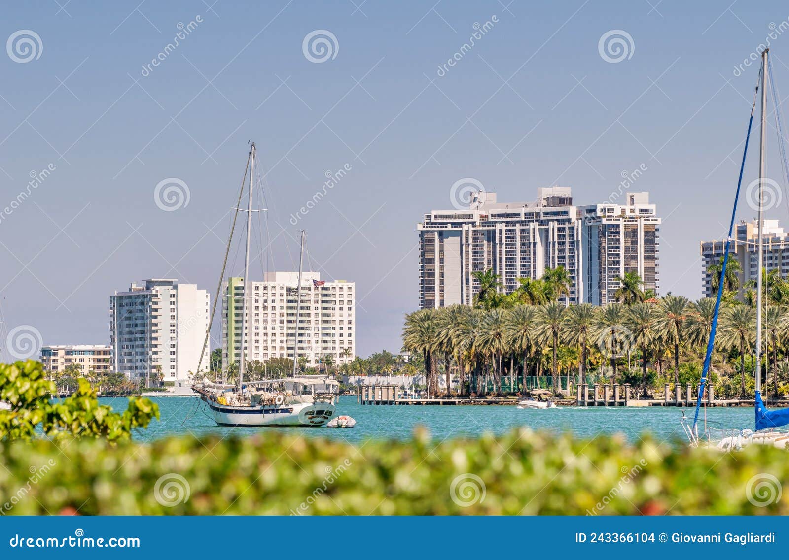 Buildings of Miami Beach Surrounded by Trees Stock Photo - Image of ...
