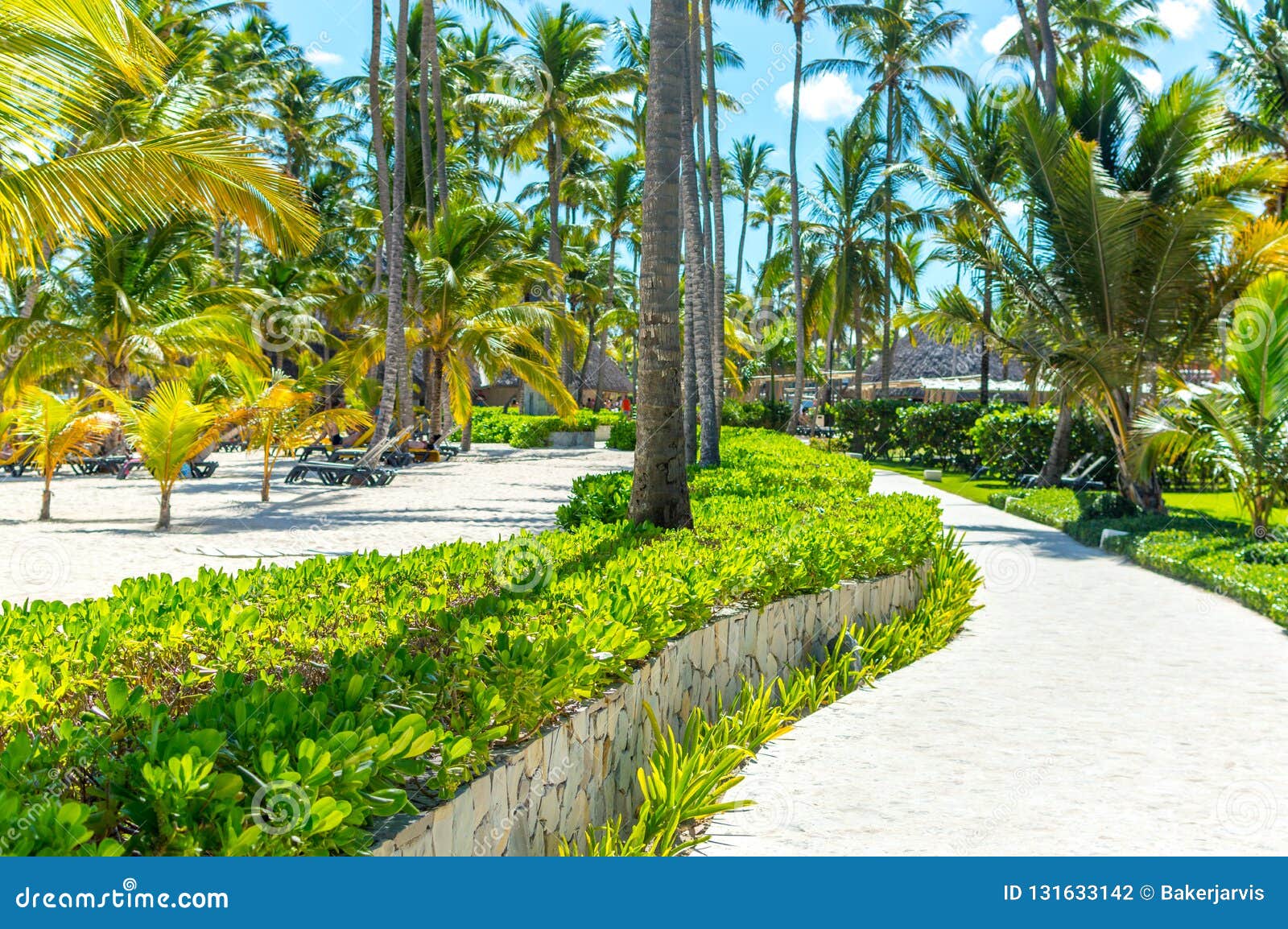 Buildings among Palm Trees in the Resort Stock Photo - Image of beach ...