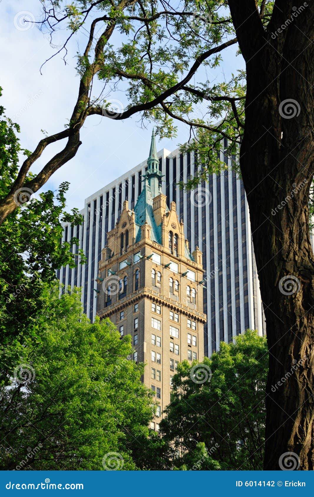 Buildings in the trees stock photo. Image of united, travel - 6014142
