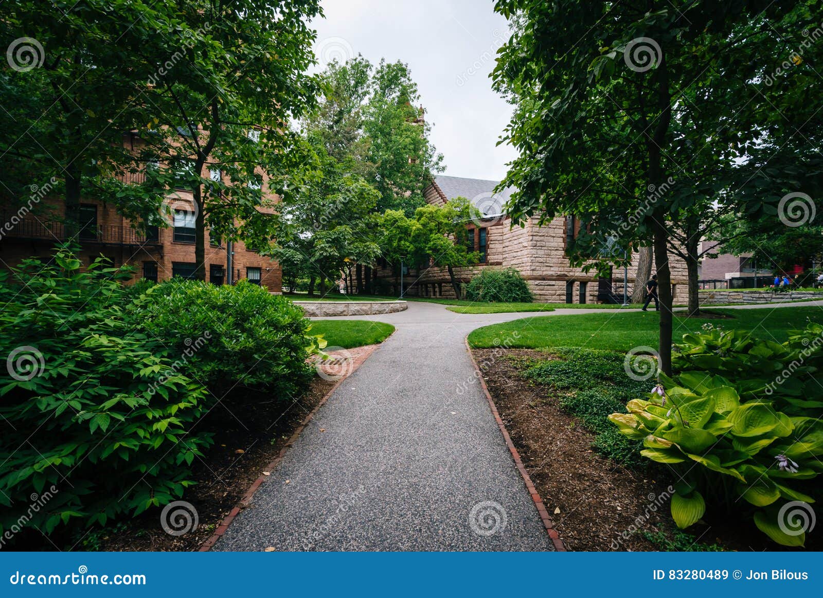 Buildings and Walkway at Harvard University, in Cambridge ...