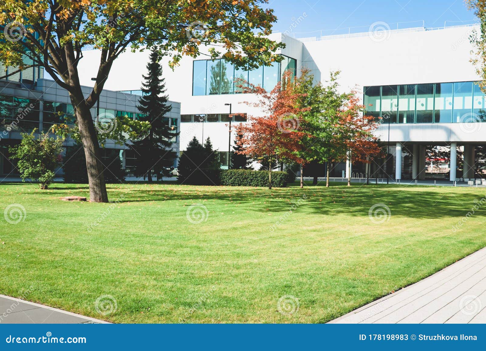 Buildings, Windows, Trees, Study. a Part of White Buildings with ...