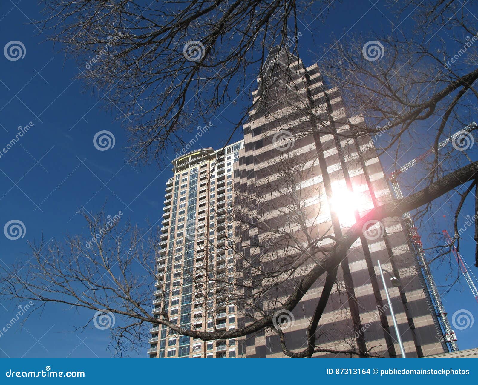 Sky, Building, Skyscraper, Plant Picture. Image: 87313164