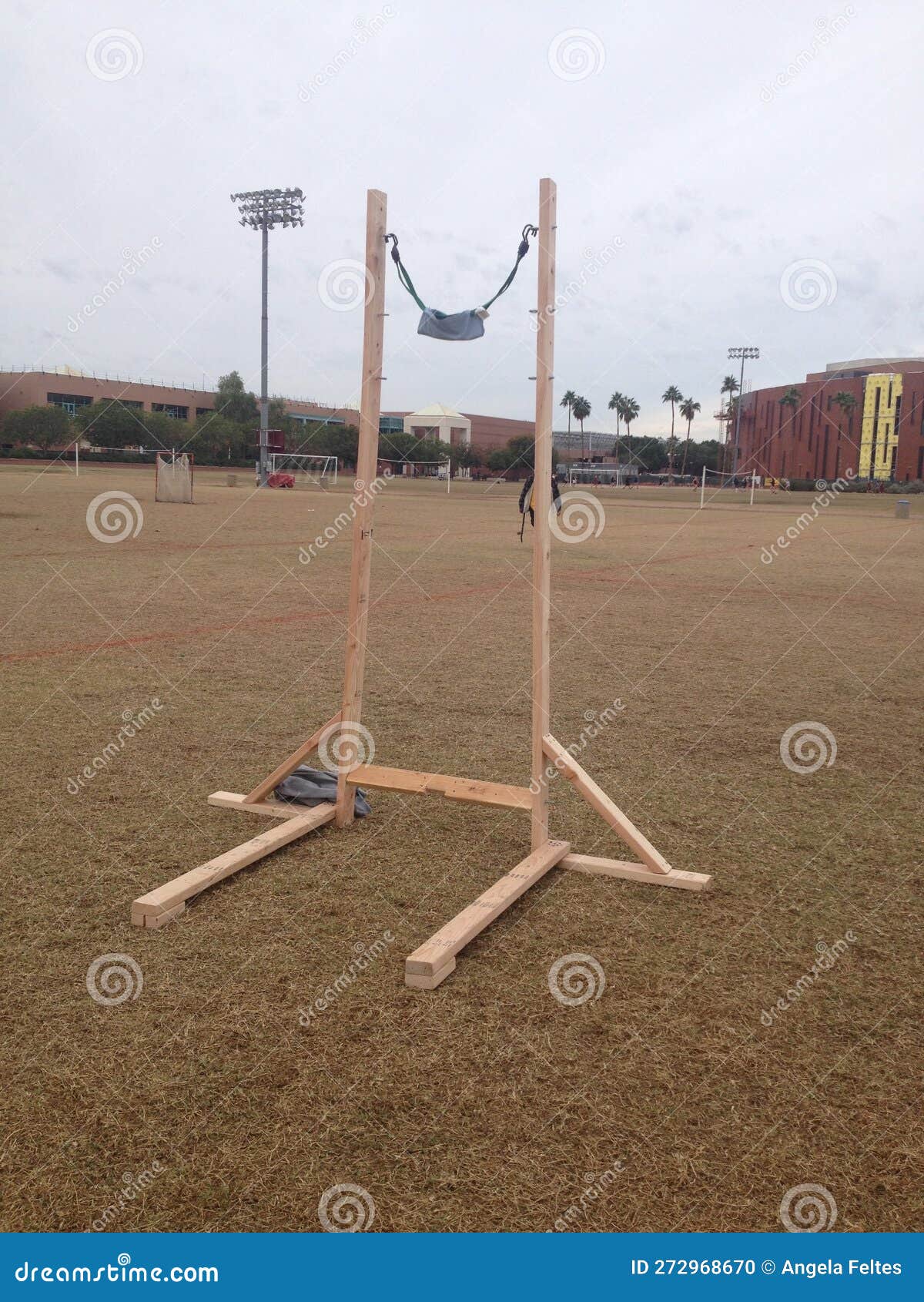 Built a Launching Catapult, Standing, College Science Experiment Stock ...