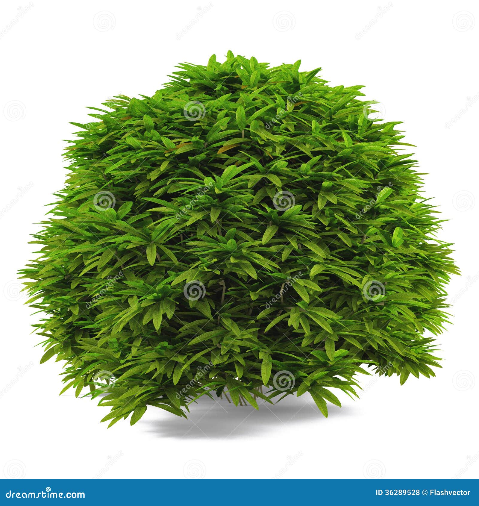 Buisson exotique illustration stock. Illustration du nature - 36289528