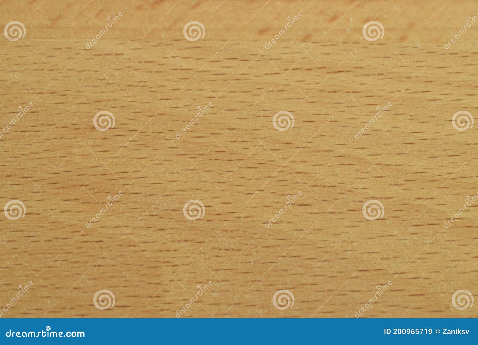 Buk wood stock image. Image of wood, beautiful, beech - 200965719