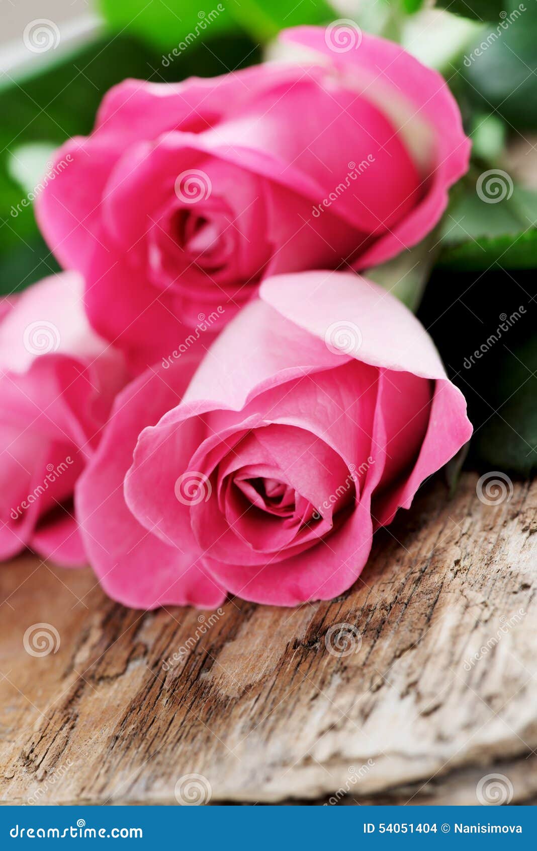 Buket of Pink Roses on Wooden Surface Stock Photo - Image of botanic ...