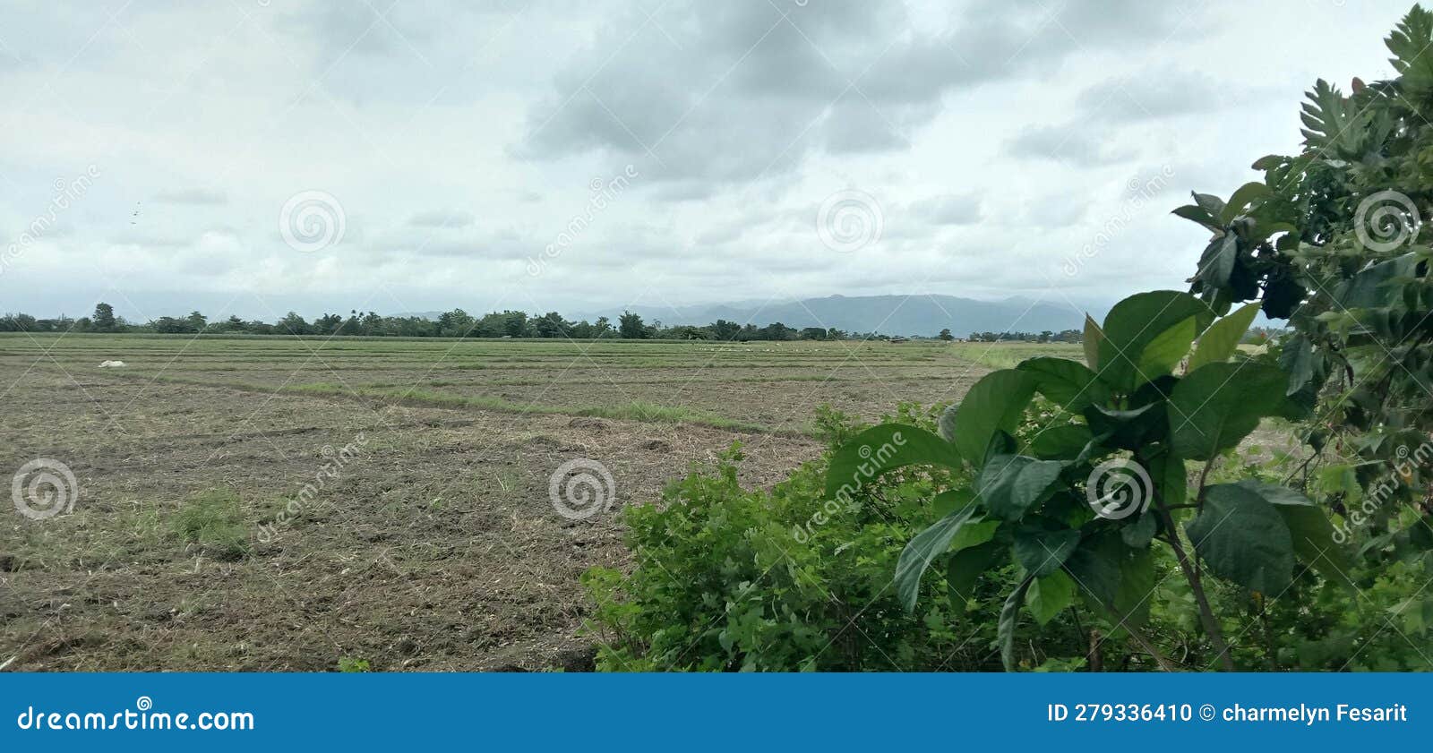 Bukid stock photo. Image of reliever, bukid, awesome - 279336410