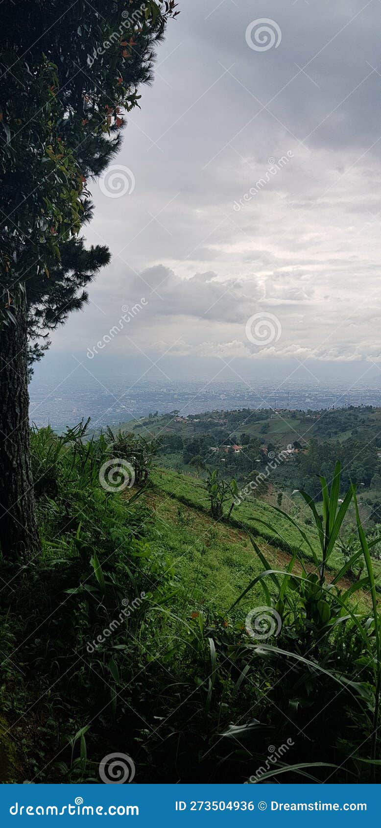Bukit Bintang, Bandung, West Java Photo Stock Photo - Image of bintang ...