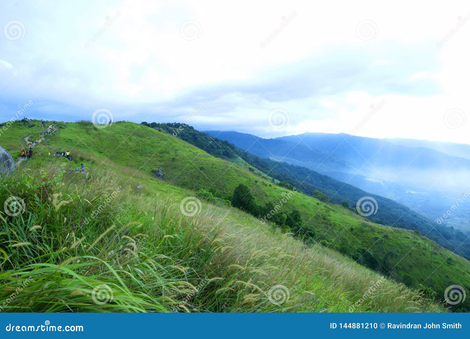 BUKIT BROGA editorial image. Image of bukit, local, trunk - 144881210