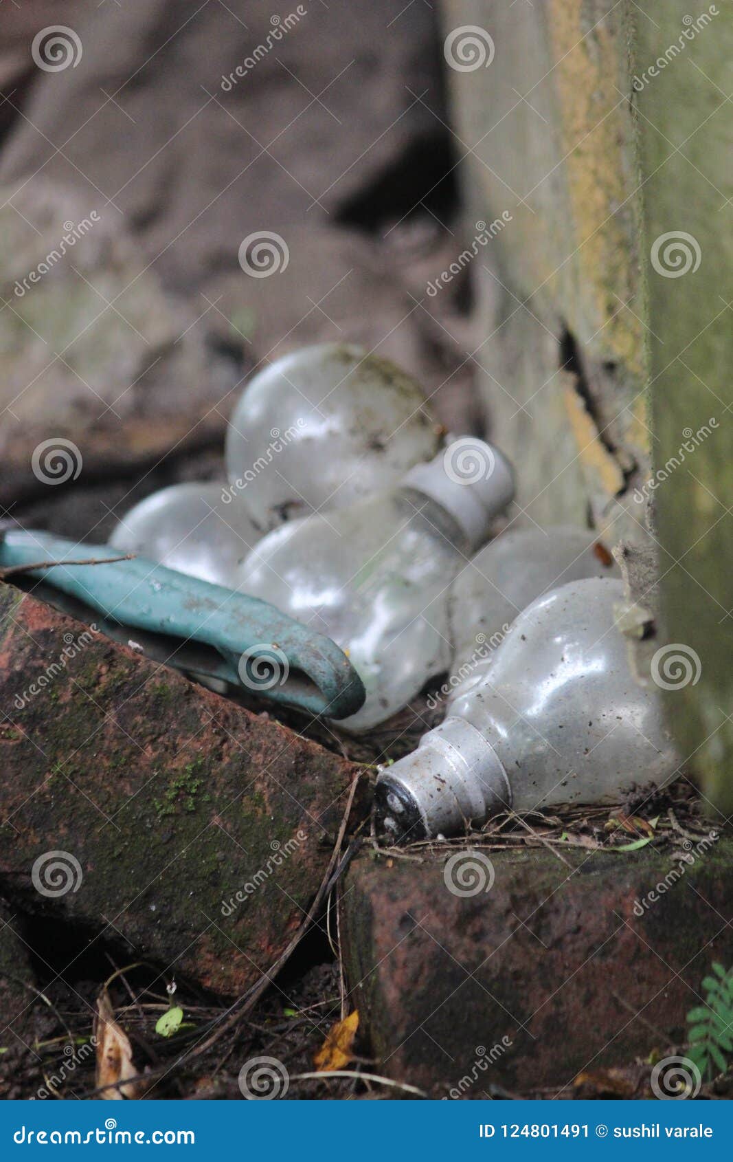 Bulb stock image. Image of nature, bulbs, bulb, damage - 124801491