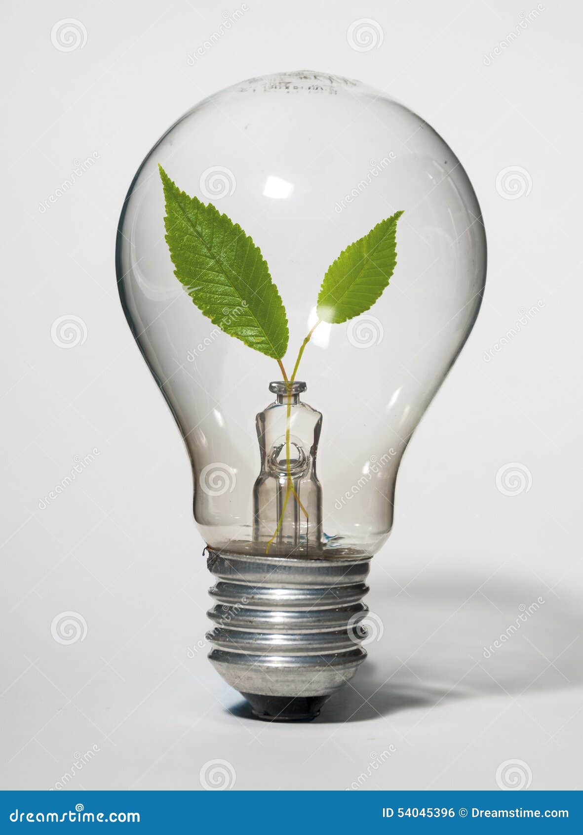 Bulb of clean energy stock photo. Image of natural, enviroment - 54045396