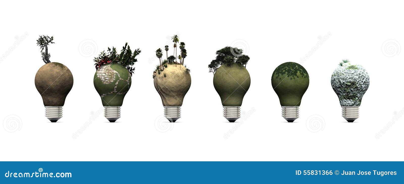 Bulb and ecosystems stock photo. Image of green, vegetation - 55831366