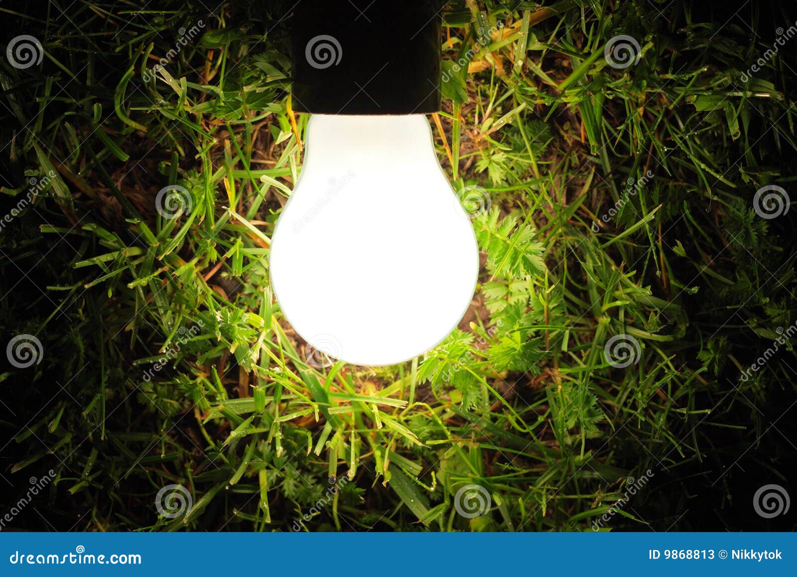 Bulb Lamp Glowing in the Grass Stock Image - Image of friendly, global ...
