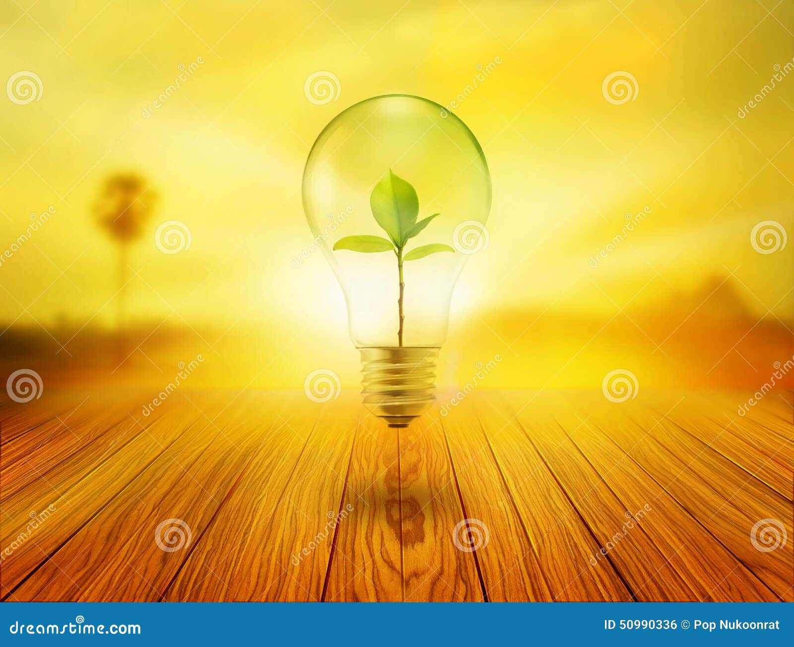 Bulb Light with Green Tree Inside on Wooden in the Sunrise, Environment ...