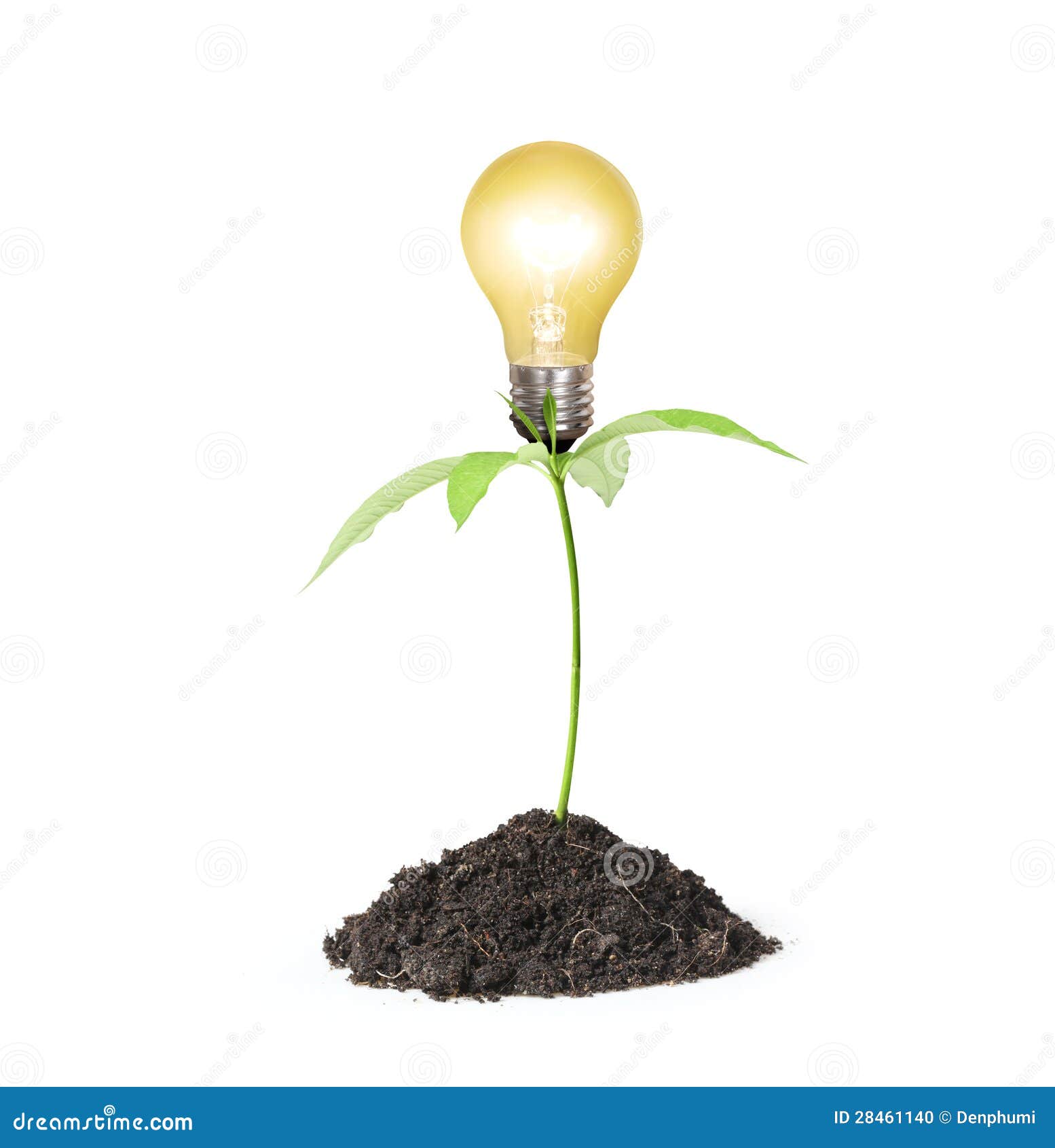 Bulb light with tree stock photo. Image of invention - 28461140