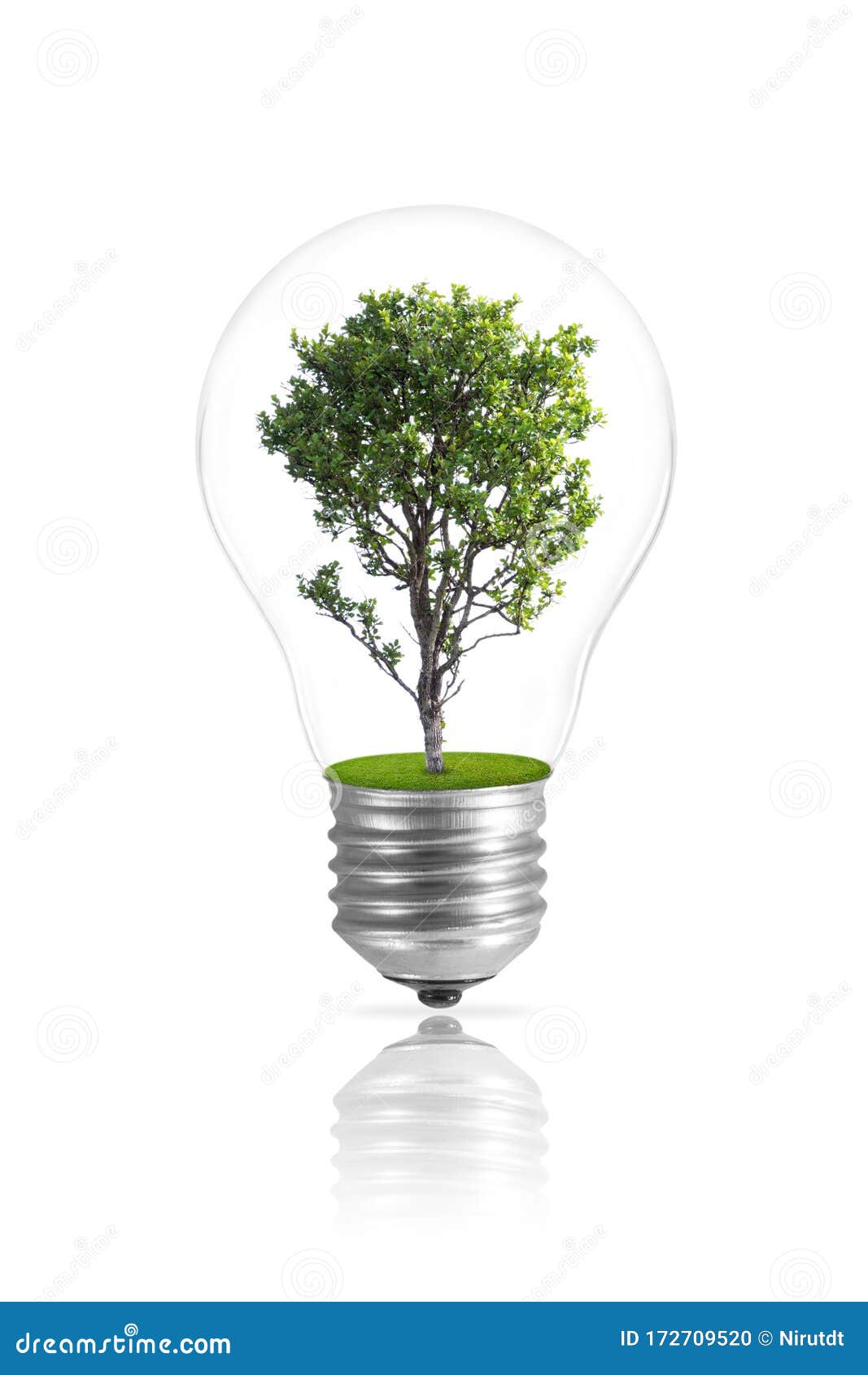 Bulb Light with Tree Isolated Stock Photo - Image of environment ...