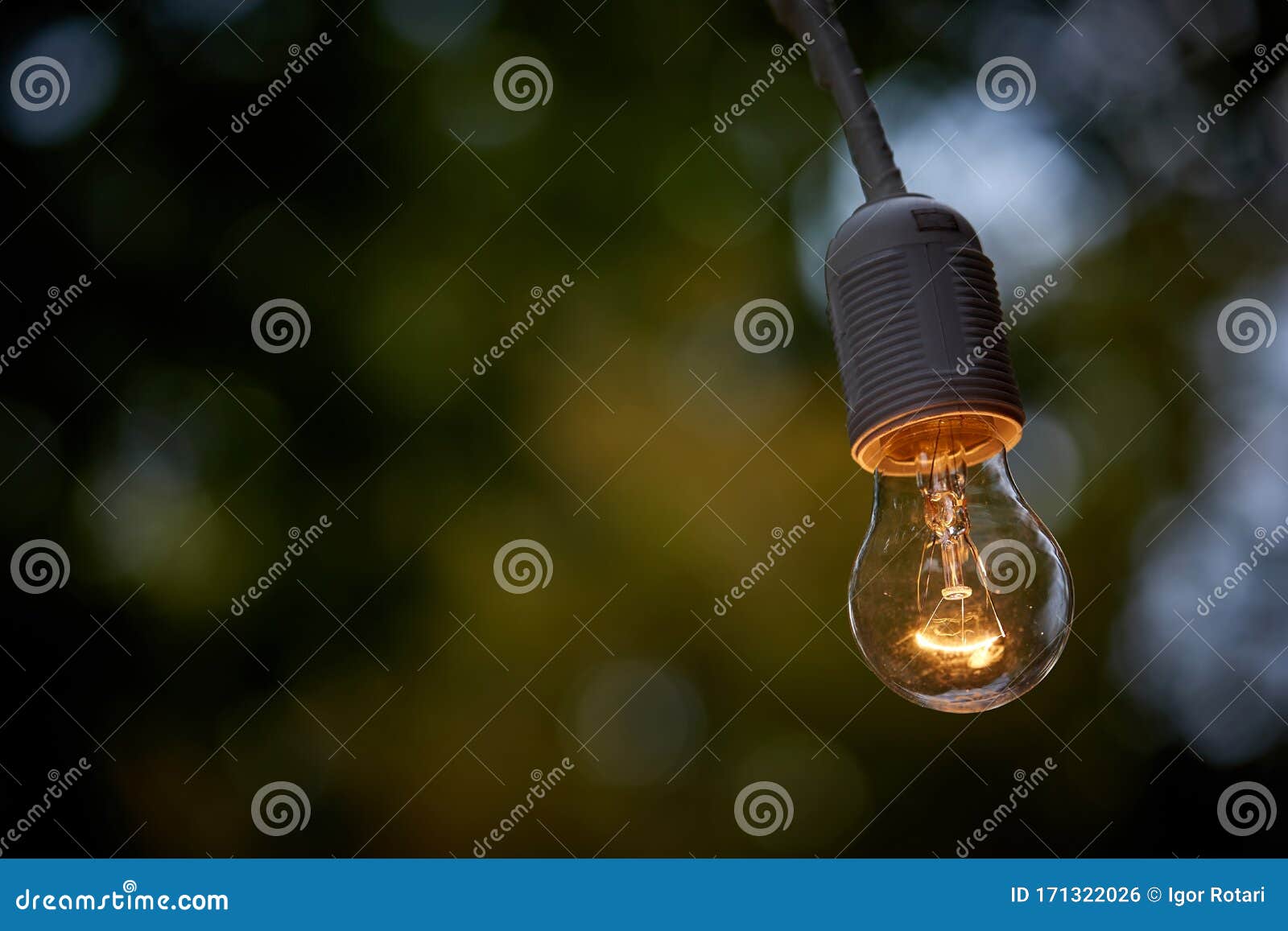 Bulb lights decoration stock photo. Image of bright - 171322026