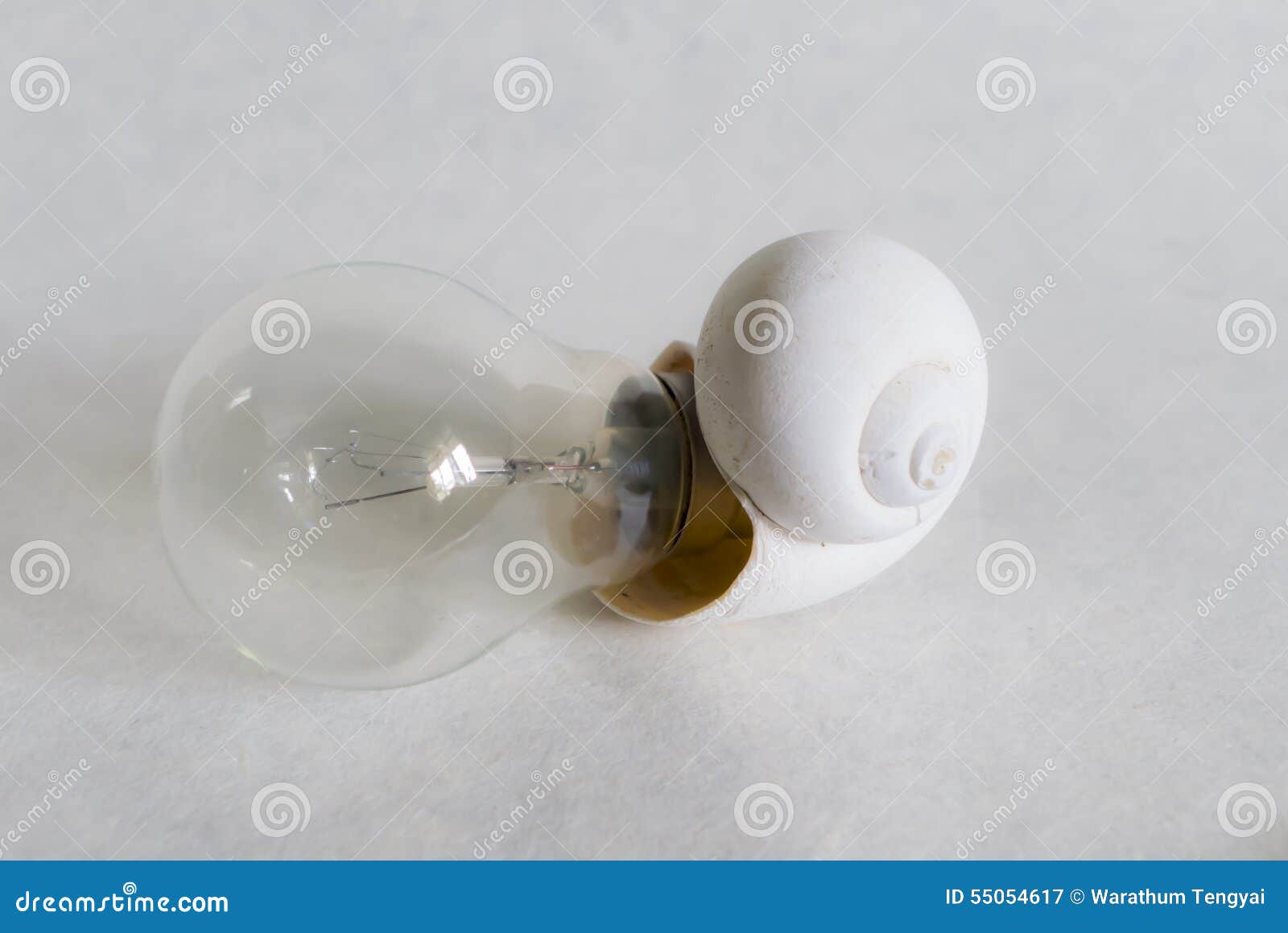 Bulb shell stock image. Image of surrealist, rare, imagine - 55054617