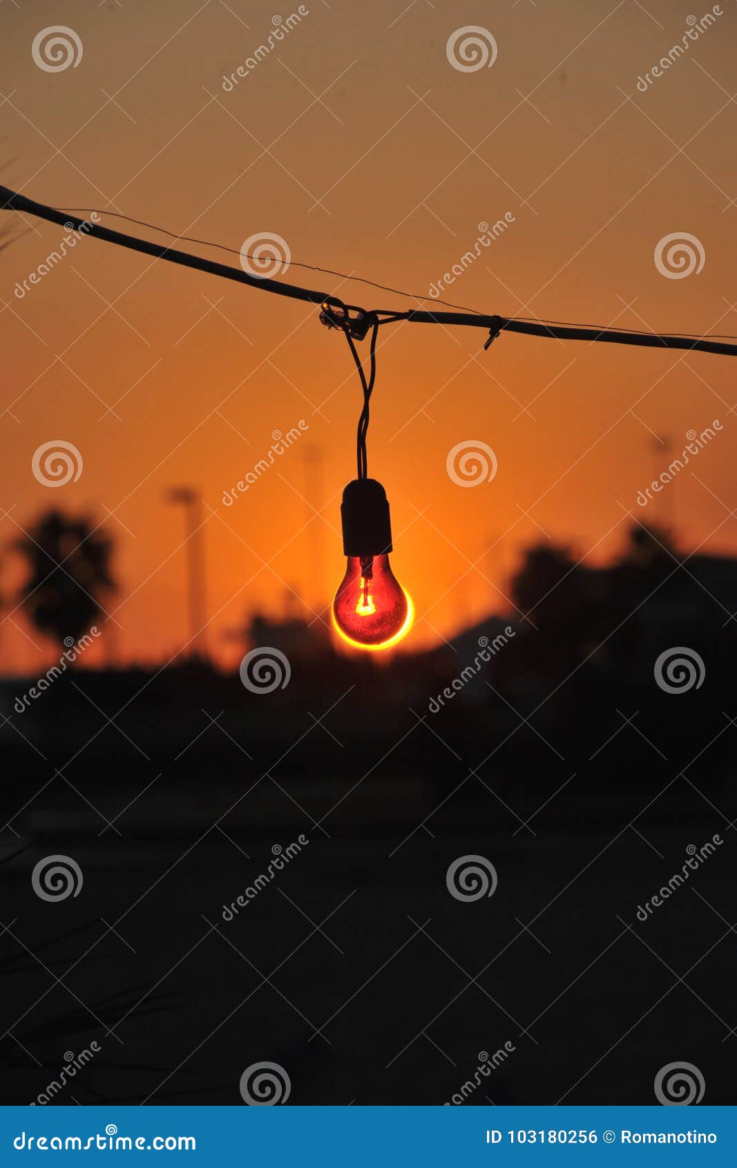 Bulb at sunset stock photo. Image of effect, special - 103180256