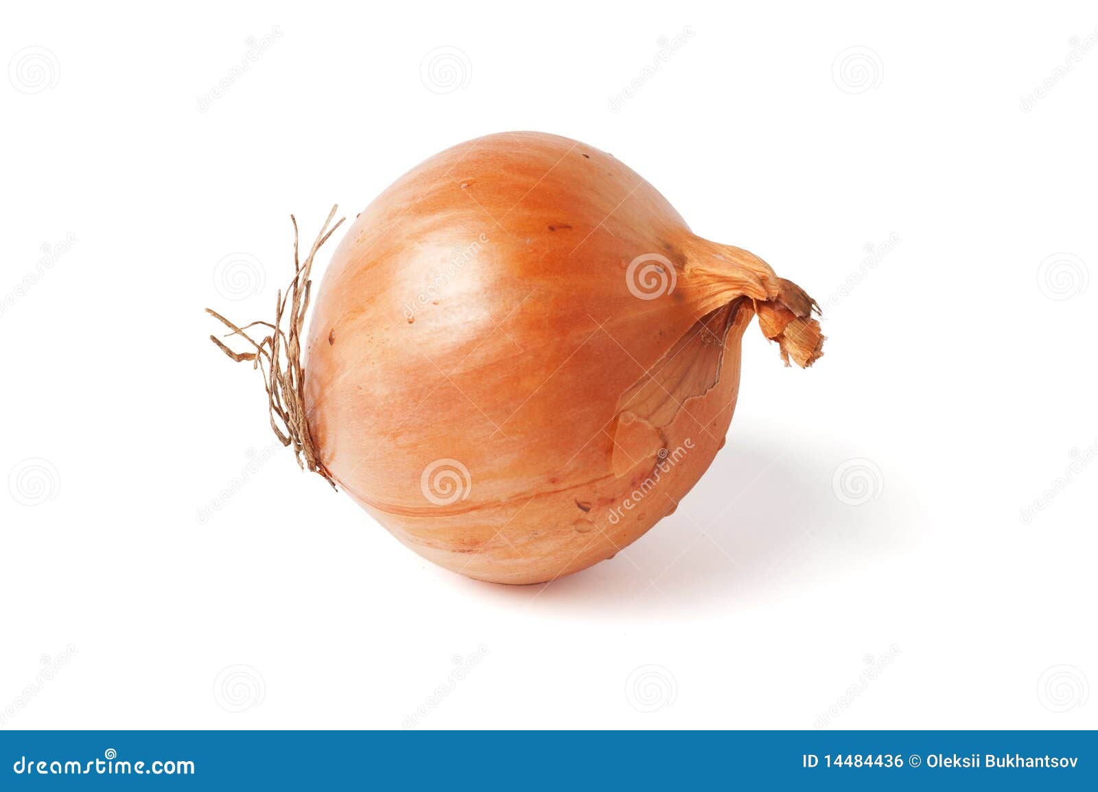 Bulbo De La Cebolla Aislado En Blanco Foto de archivo - Imagen de ...