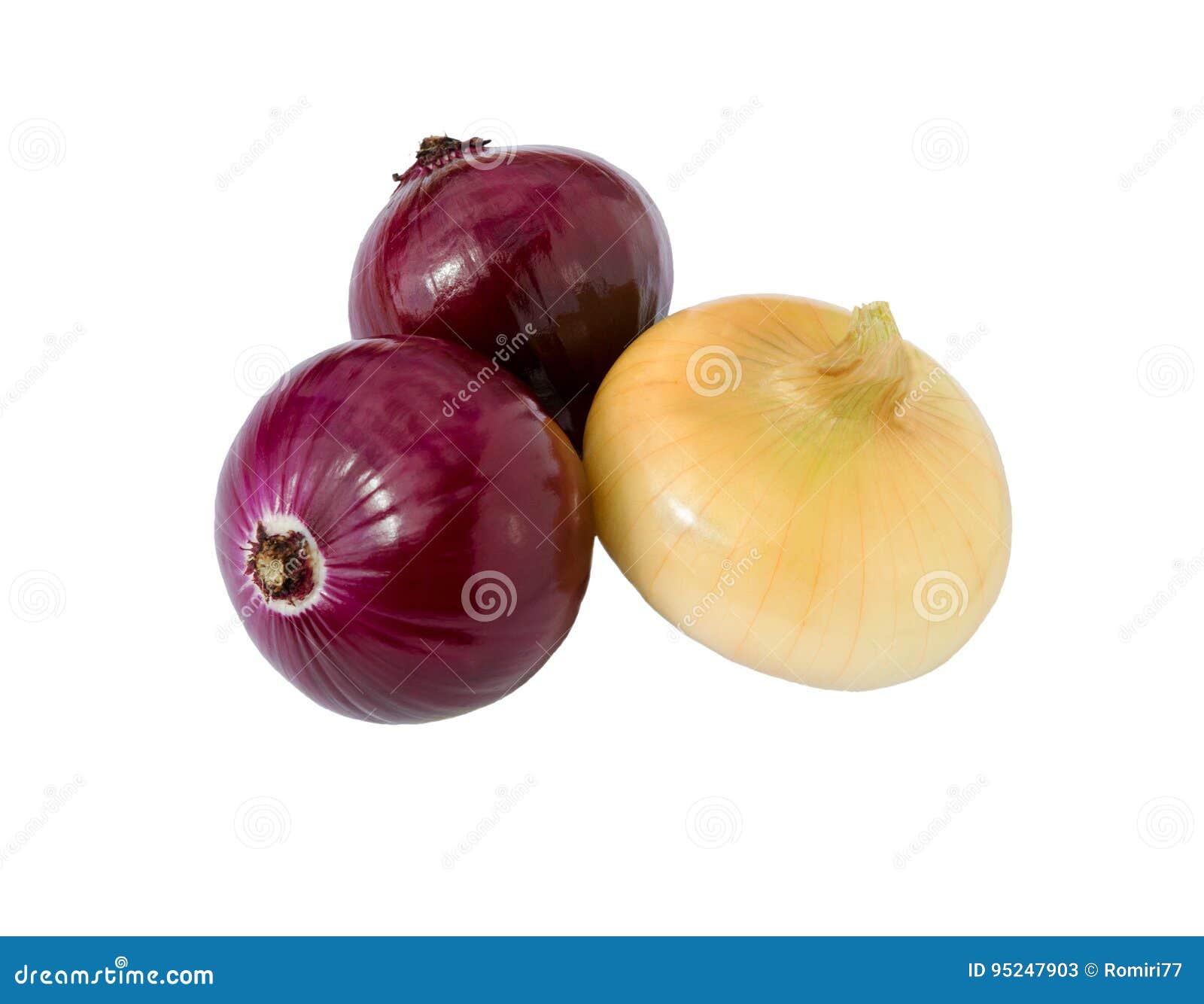 Bulbo De La Cebolla Verdura De La Cebolla Imagen de archivo - Imagen de ...