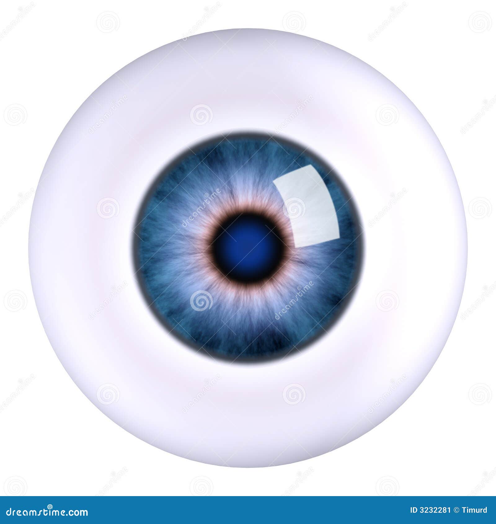 Bulbo oculare dell'occhio illustrazione di stock. Illustrazione di ...