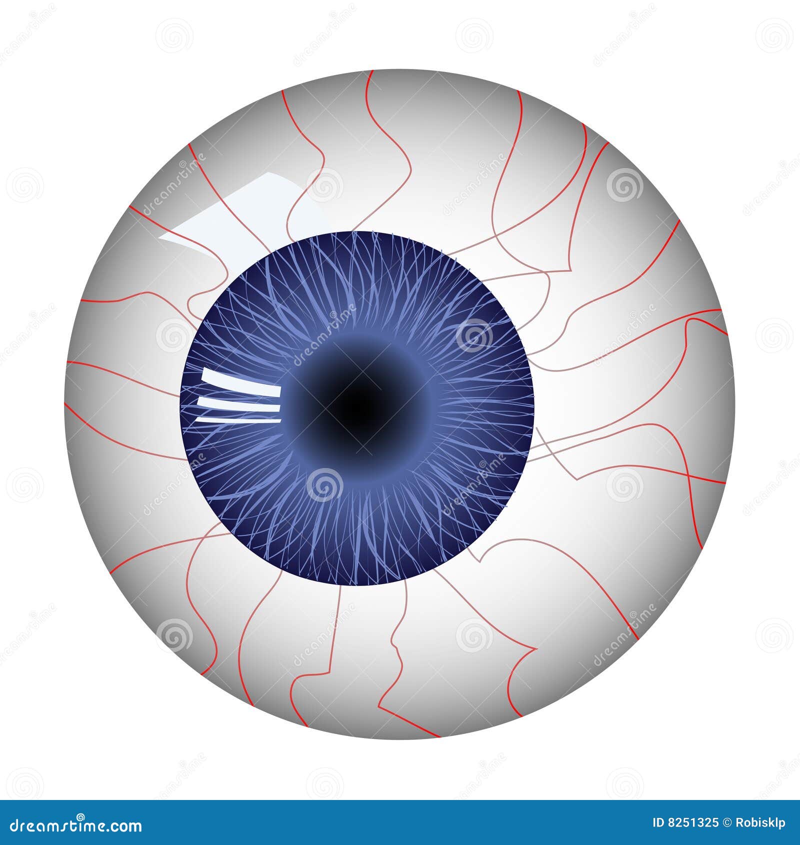 Bulbo oculare umano illustrazione vettoriale. Illustrazione di dilatare ...