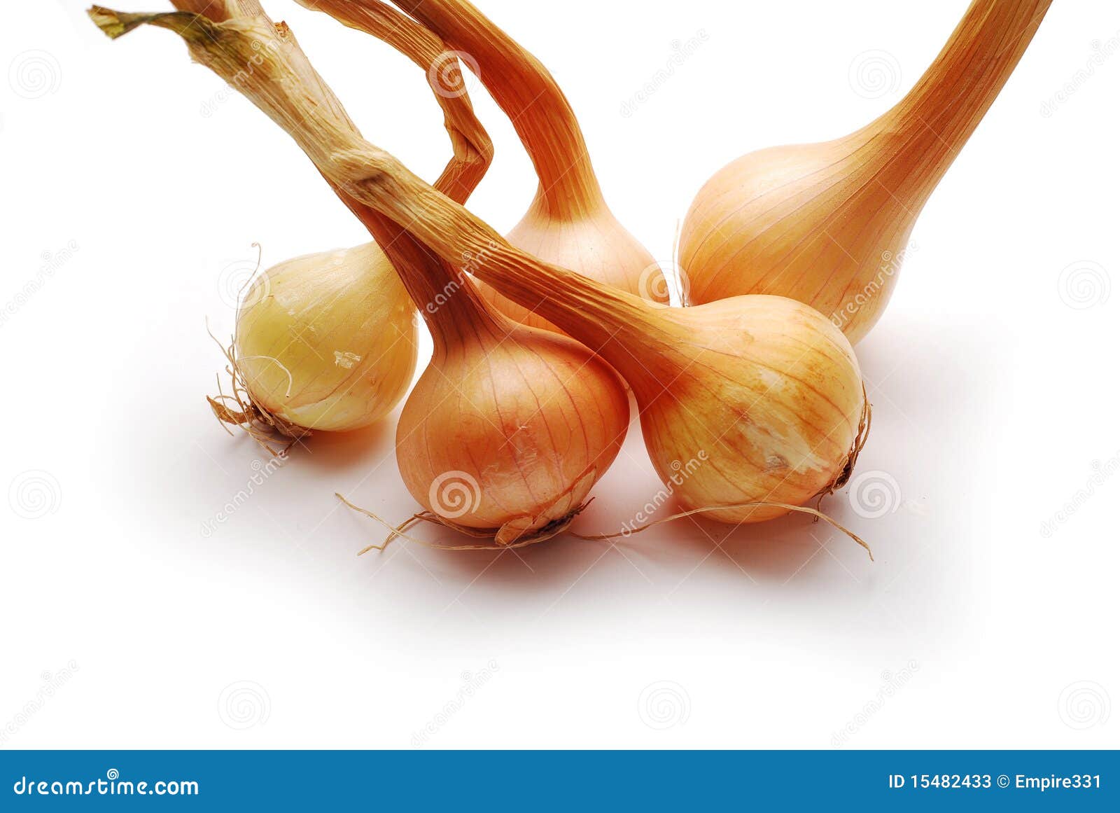 Bulbos de la cebolla imagen de archivo. Imagen de planta - 15482433