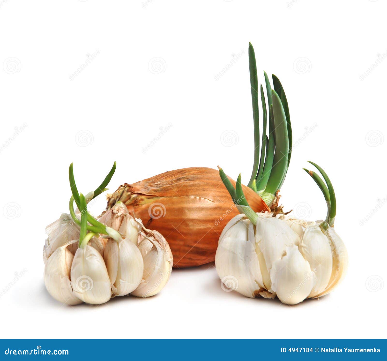 Bulbos Del Ajo Y De La Cebolla Foto de archivo - Imagen de dieta, bulbo ...