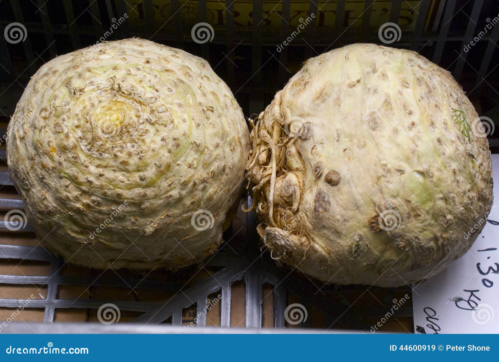 Bulbos del apio nabo imagen de archivo. Imagen de listo - 44600919