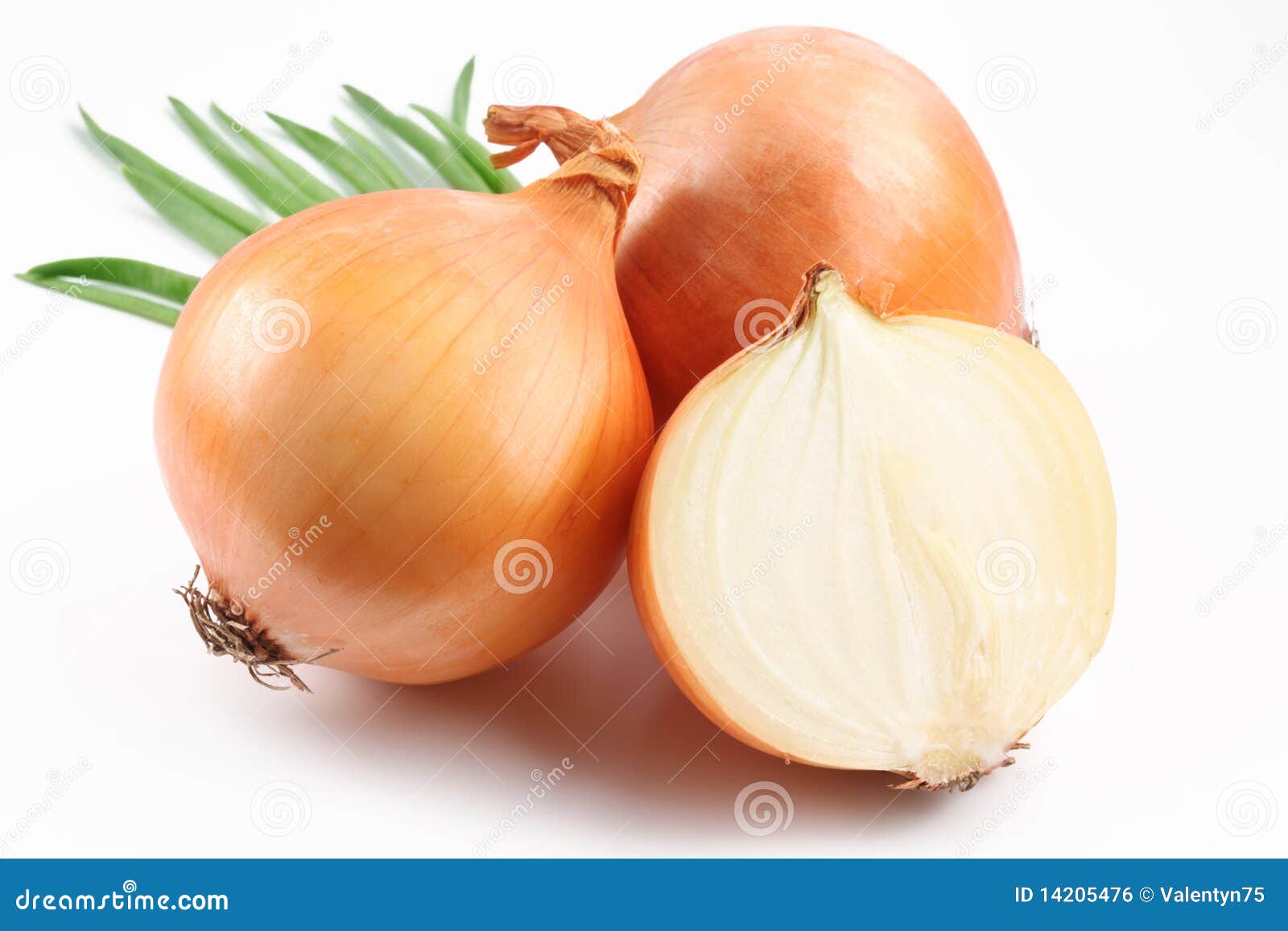 Bulbos Frescos De La Cebolla Foto de archivo - Imagen de cebolla ...