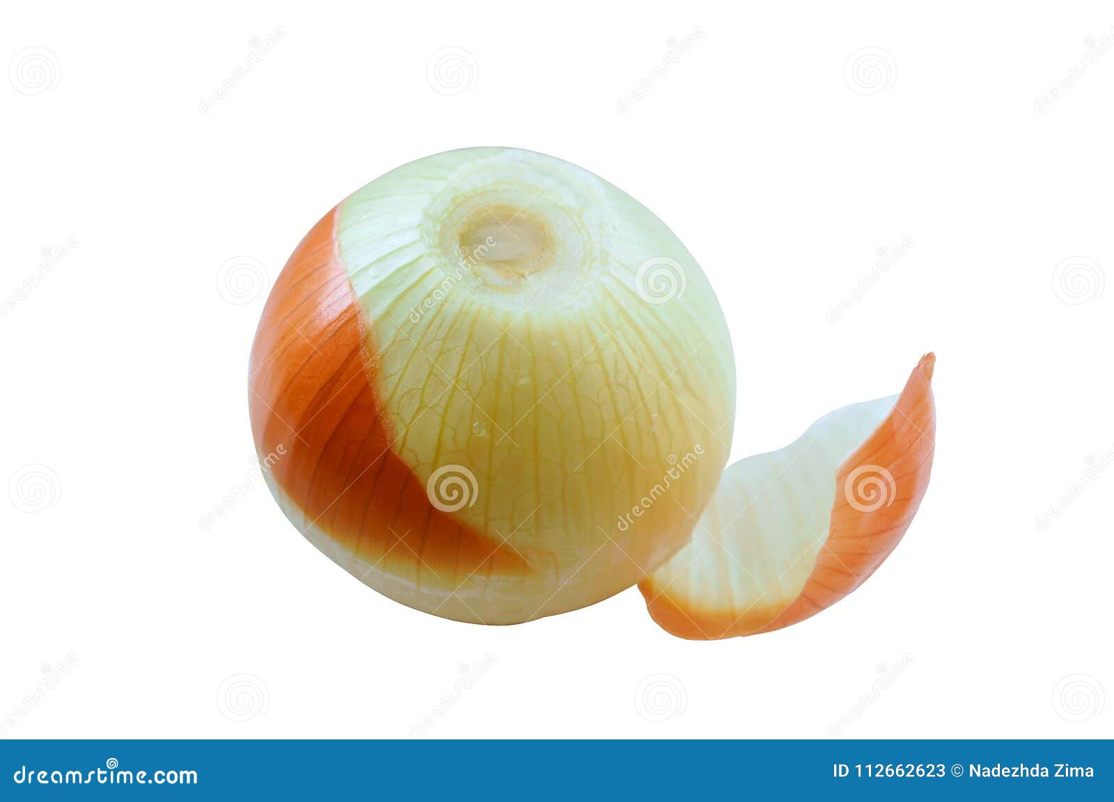 Bulbs and Onion Husk, Peel the Onion from the Husk, Cut the Onion Stock ...