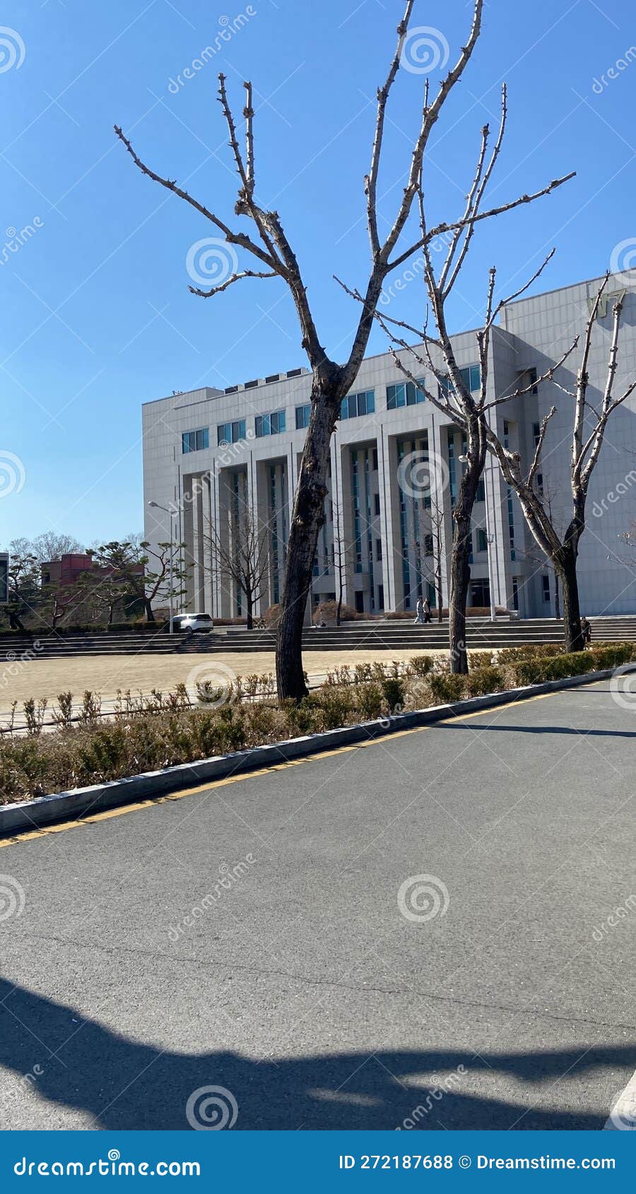 Bulding stock photo. Image of season, korean, bulding - 272187688