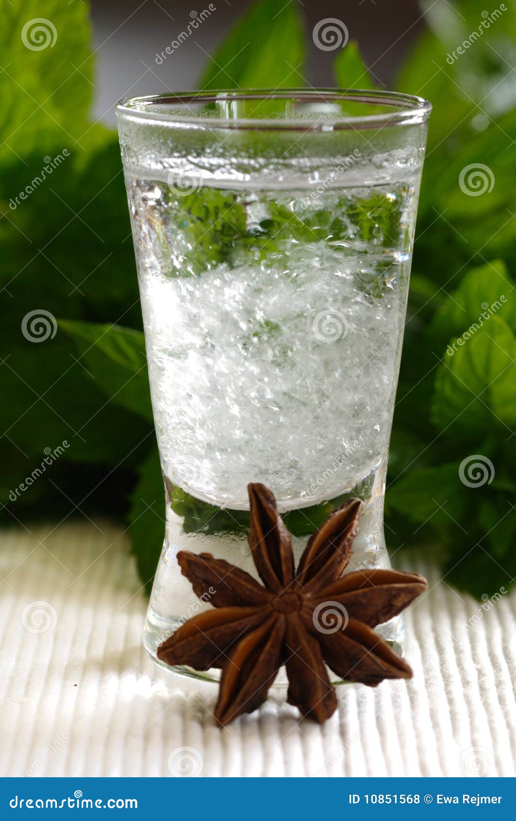 Bulgaarse Mastika stock foto. Image of anijs, glas, alcohol - 10851568