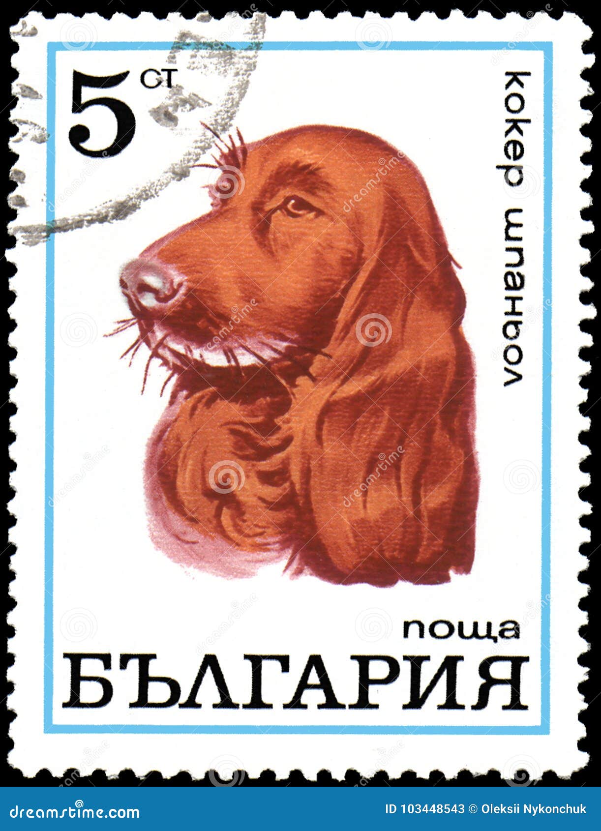 Cocker Spaniel Jumping Over Obstacle On Agility Competition. Se ...