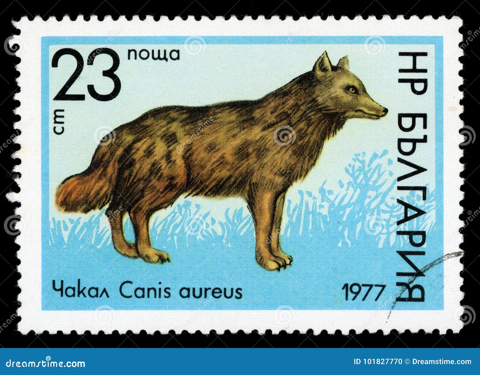 Bulgaria `Wildlife` Series Postage Stamp, 1977 Editorial Image - Image ...