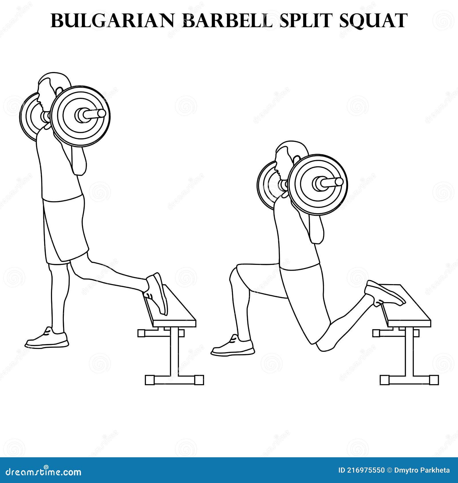 Bulgarian Barbell Split Squat Exercise Strength Workout Vector ...