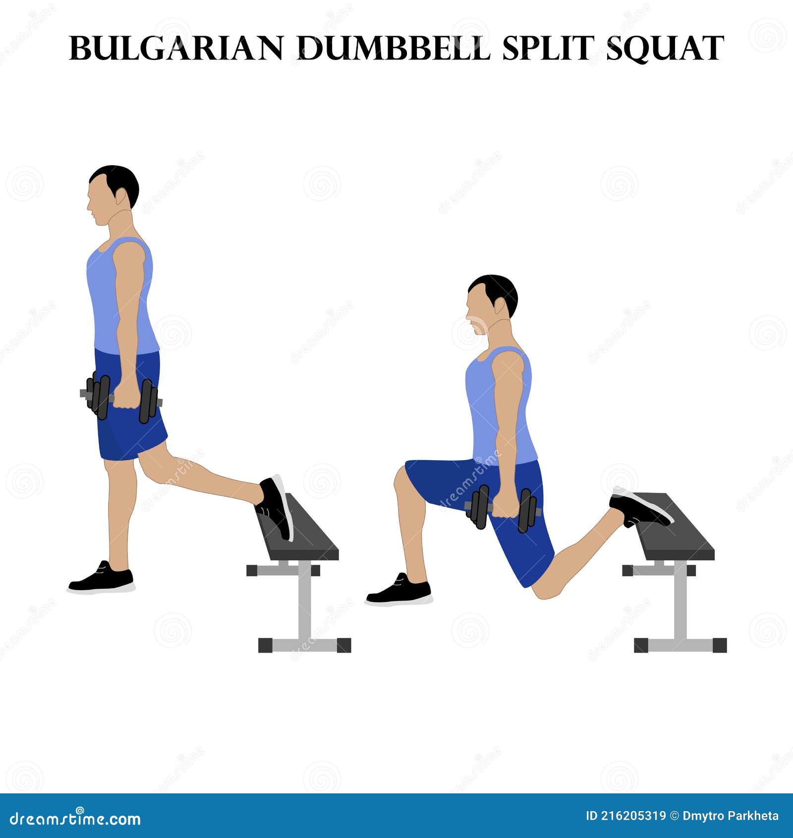 Bulgarian Dumbbell Split Squat Exercise Strength Workout Vector ... Bulgarian Dumbbell Split Squat Exercise Strength Workout Vector ...